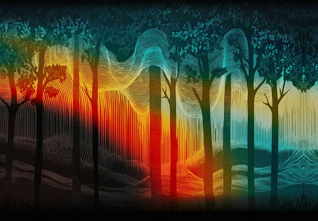 Home | Noisily Festival of Music & Arts