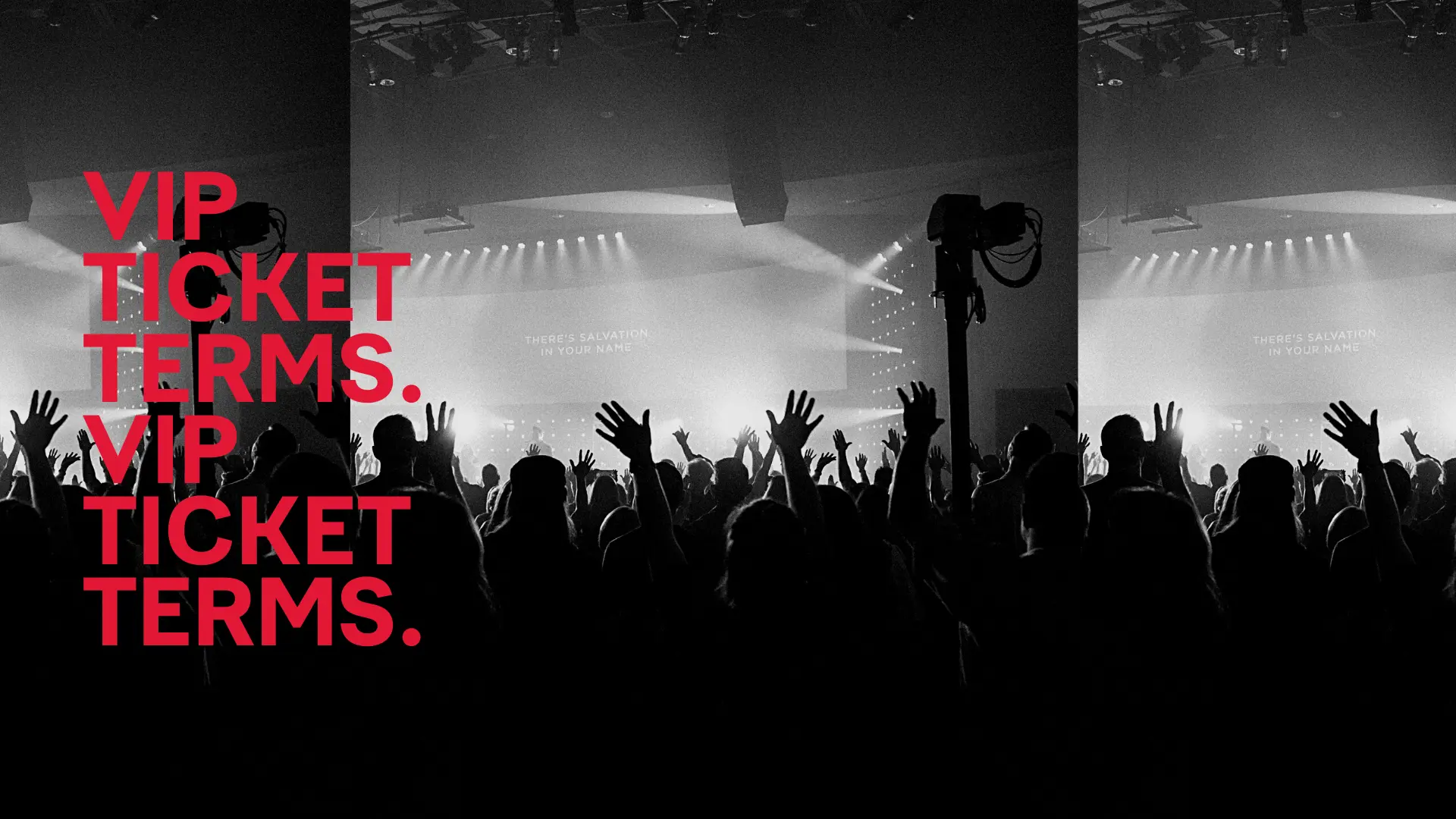 VIP Ticket Terms