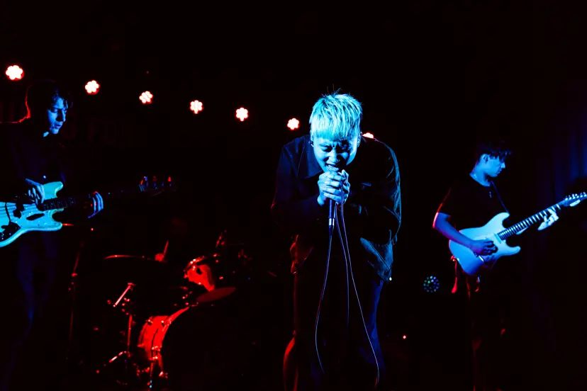 The Tuning Fork | Homepage