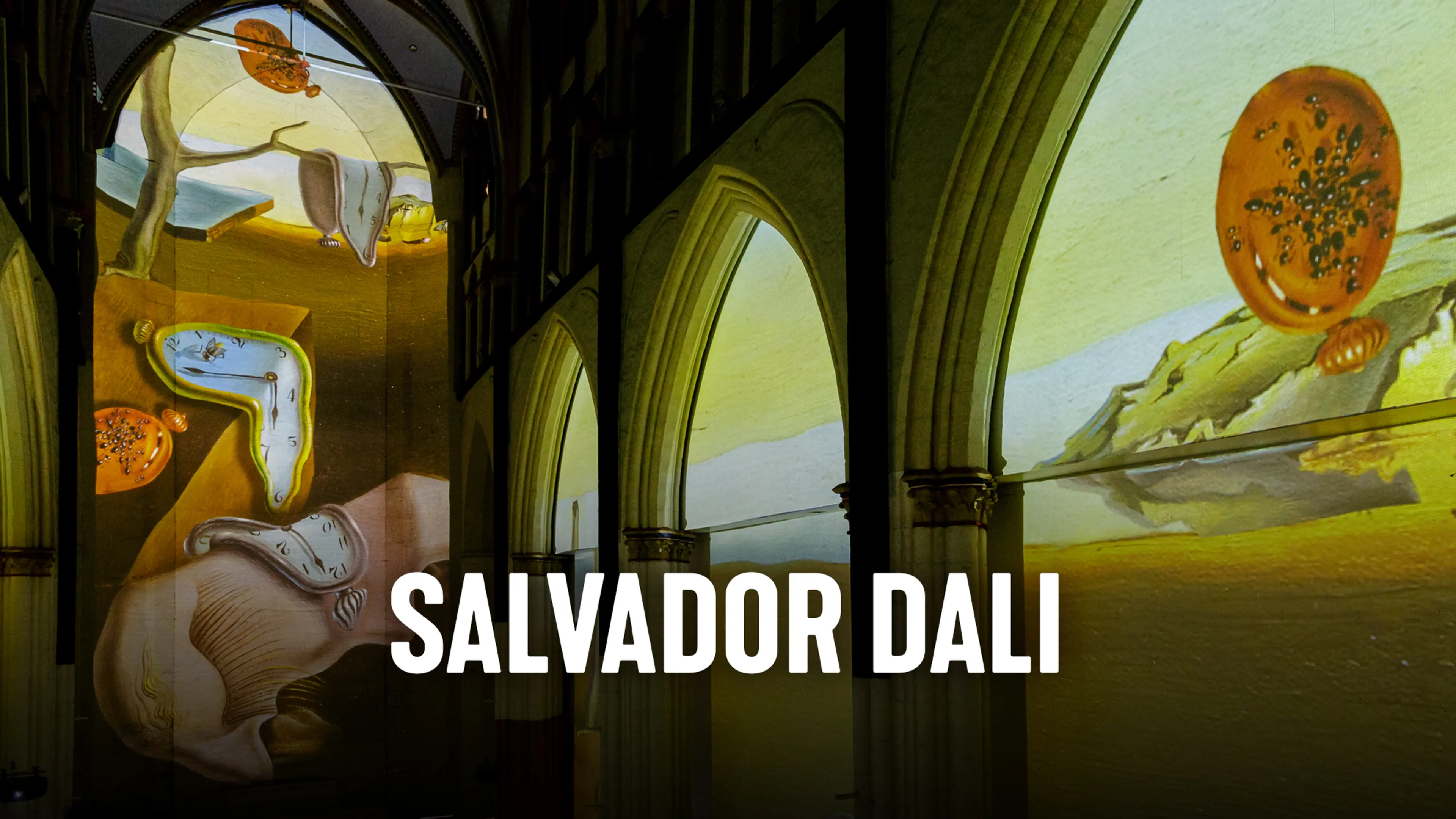 Salvador Dali - Inside Dali - New Zealand